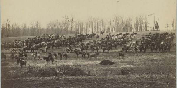 Digital Program: Beasts of Burden - Animals and the Civil War ...