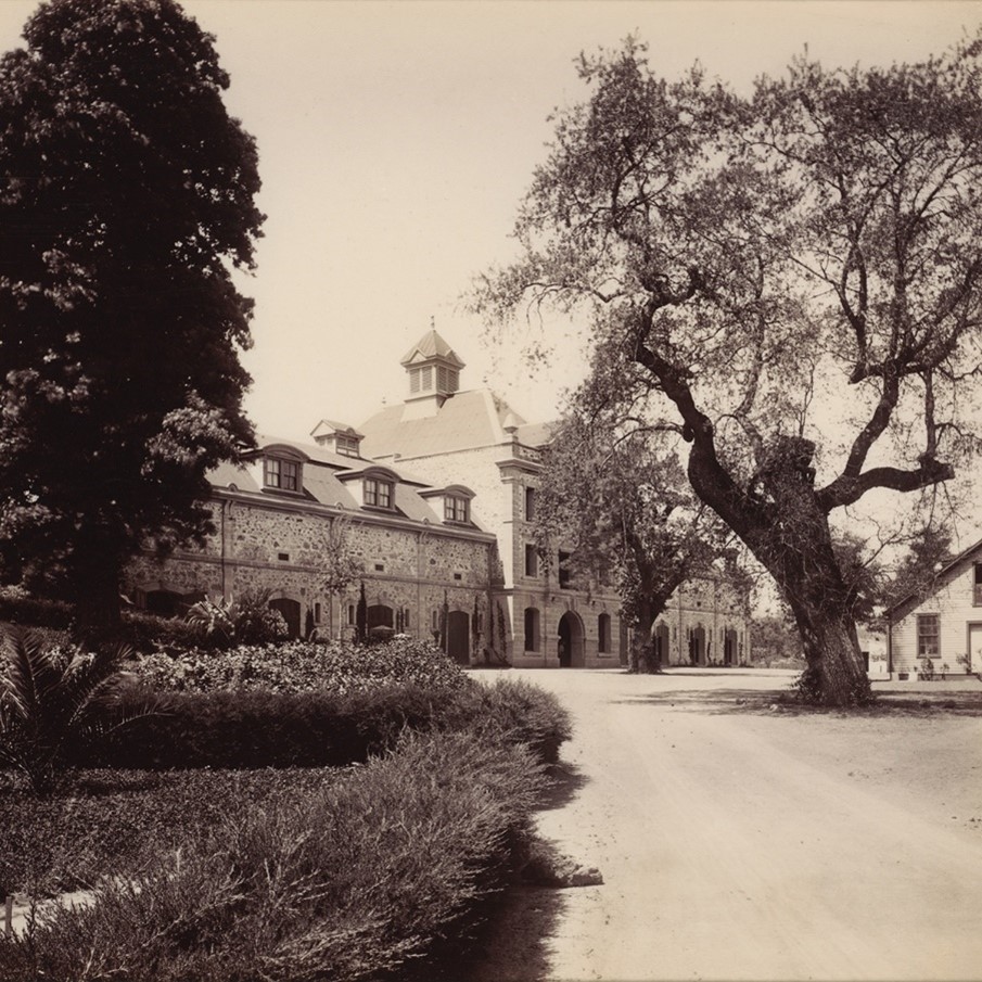 The Napa Wine Valley and the Civil War: Part I - National Museum of ...