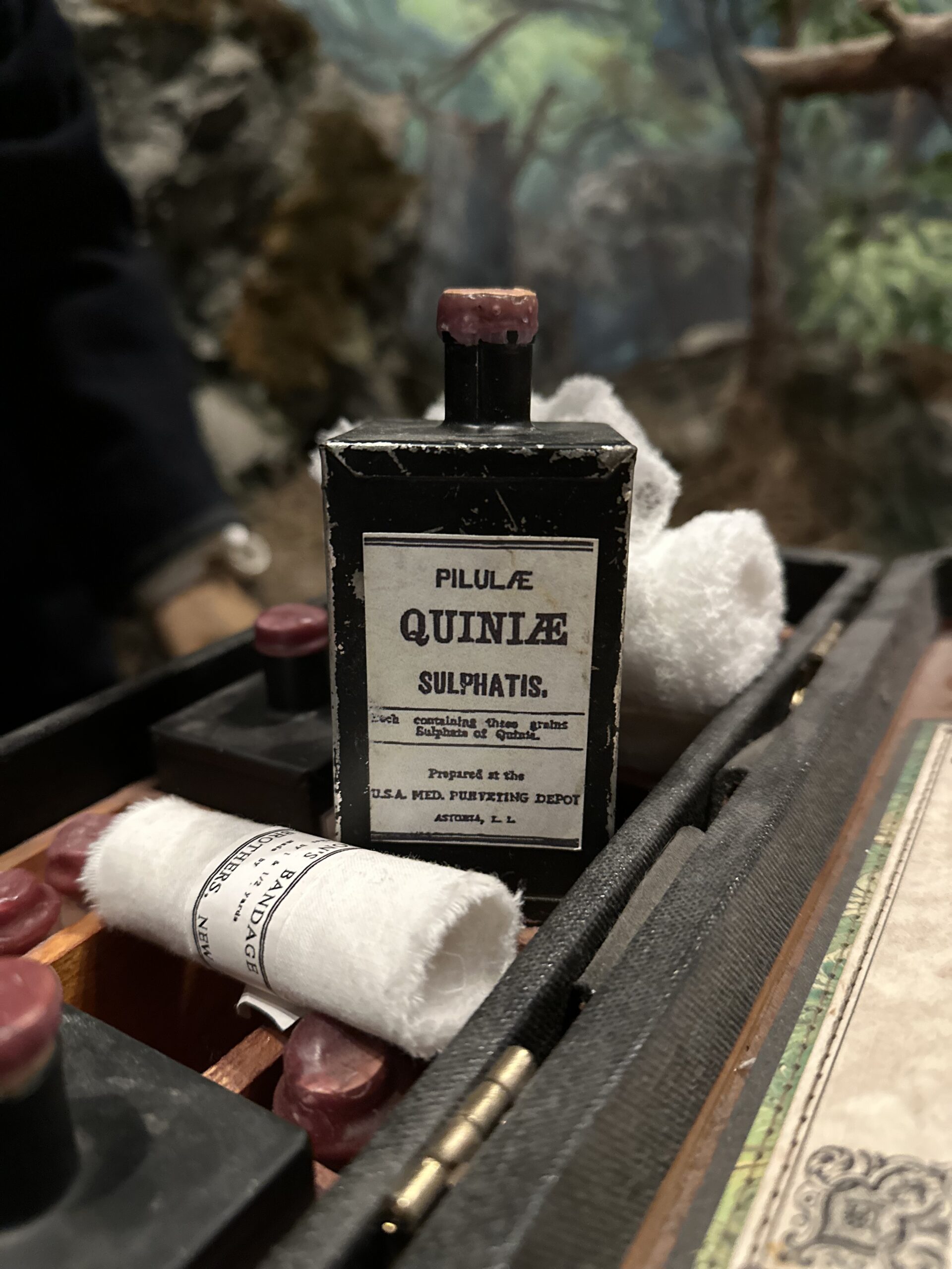Quinine: The Civil War's Miracle Drug - National Museum of Civil War Medicine
