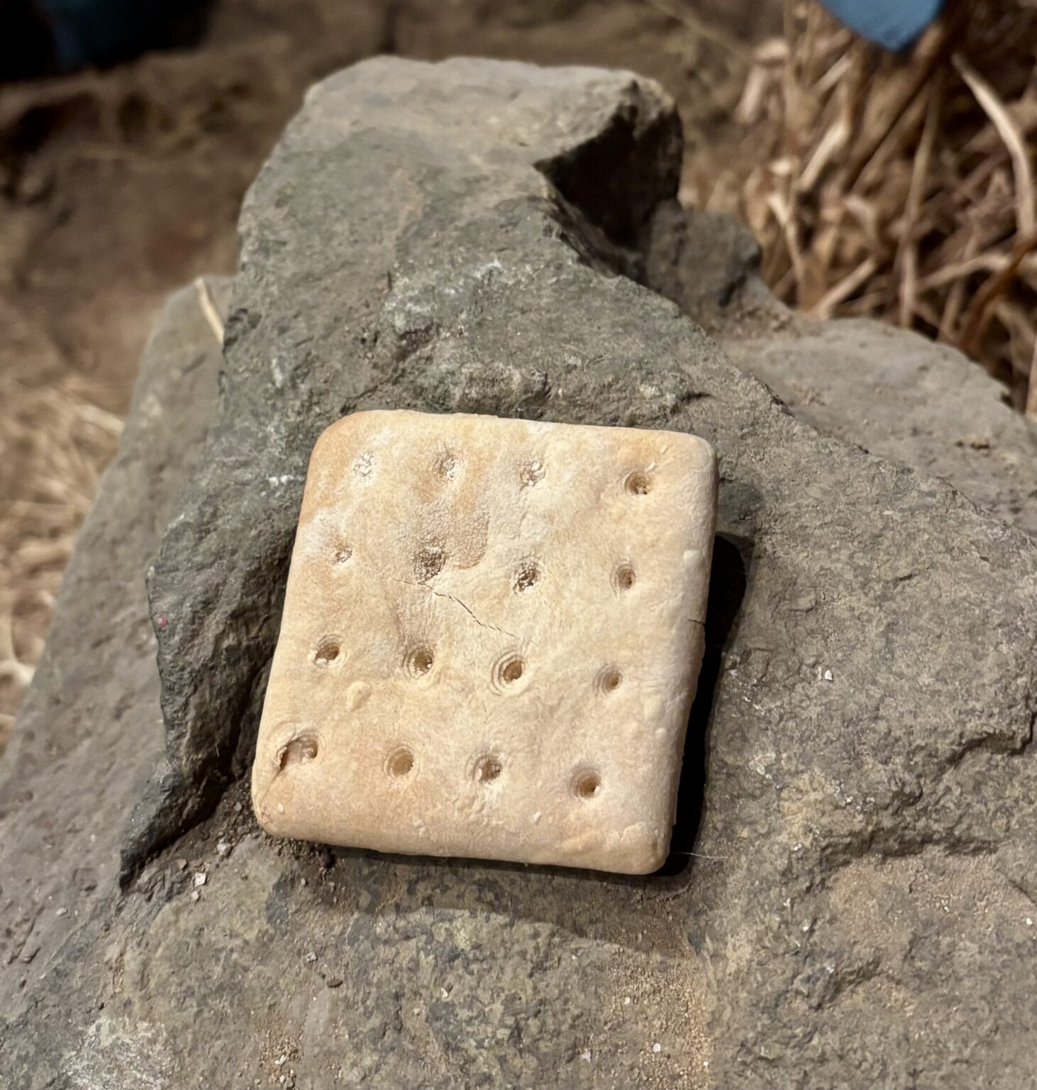 Hardtack and Culinary Ingenuity - National Museum of Civil War Medicine